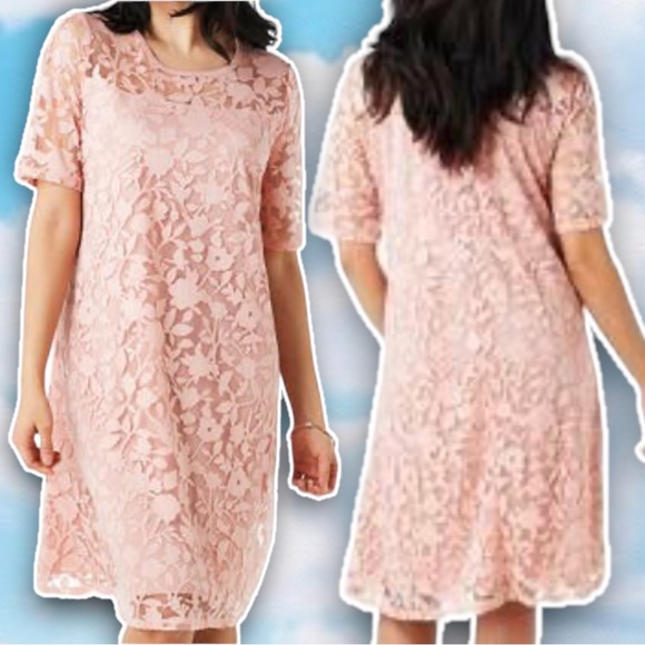 Nina Leonard | Dresses | Nina Leonard Elbow Sleeve Burnout Aline ...